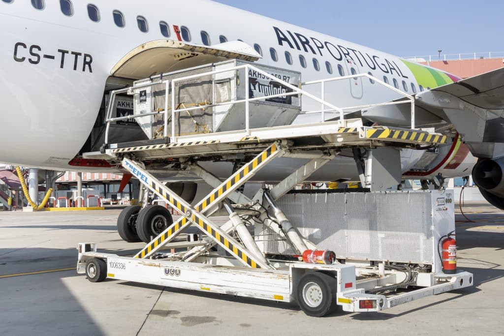 Worldwide Flight Services