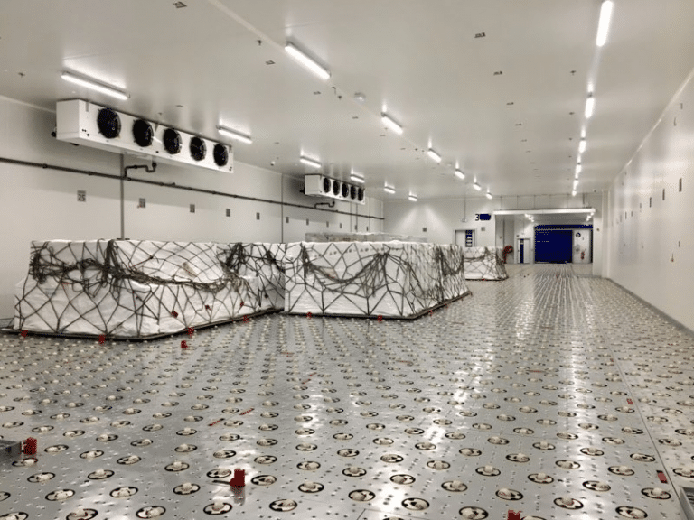 Worldwide Flight Services